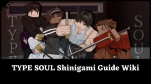 TYPE SOUL Shinigami Guide Wiki - MrGuider