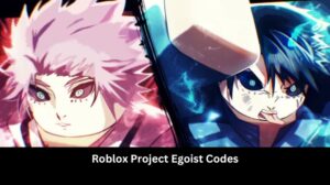 Project Egoist Codes [Updated] (June 2026) - MrGuider