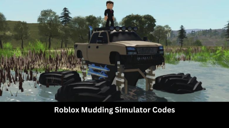 Mudding Simulator Codes [UPDATED] (May 2026) - MrGuider
